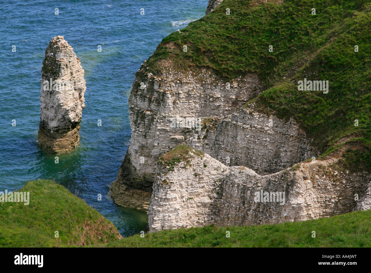 chalk sea stack near Flamborough Head chalk headland yorkshire coast ...