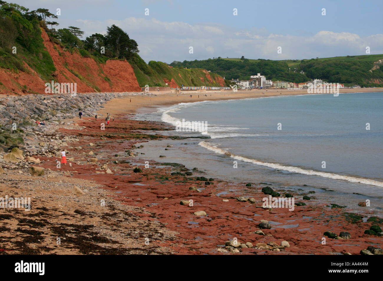 red sandstone beach just west of seaton south devon england Stock Photo ...