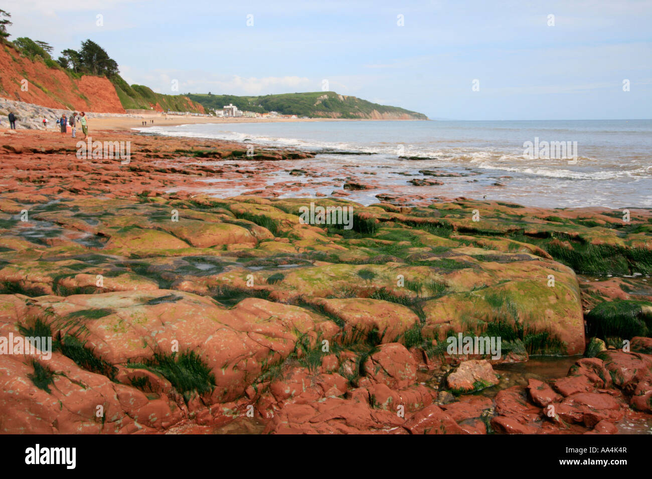 red sandstone beach just west of seaton south devon england Stock Photo ...