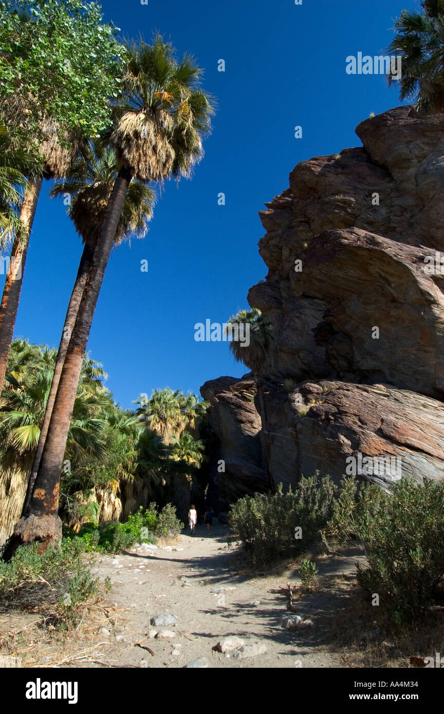 Tahquitz Canyon Palm Springs California Stock Photo - Alamy