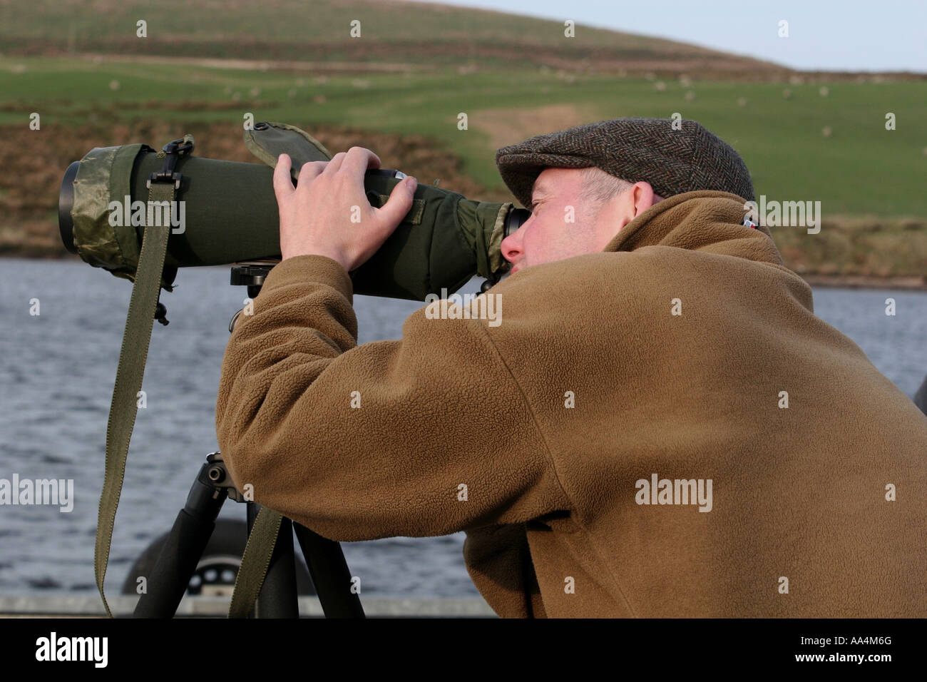 Male bird watching Stock Photo - Alamy