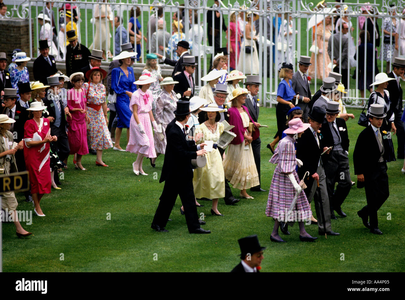 Punters Ascot High Resolution Stock Photography and Images - Alamy