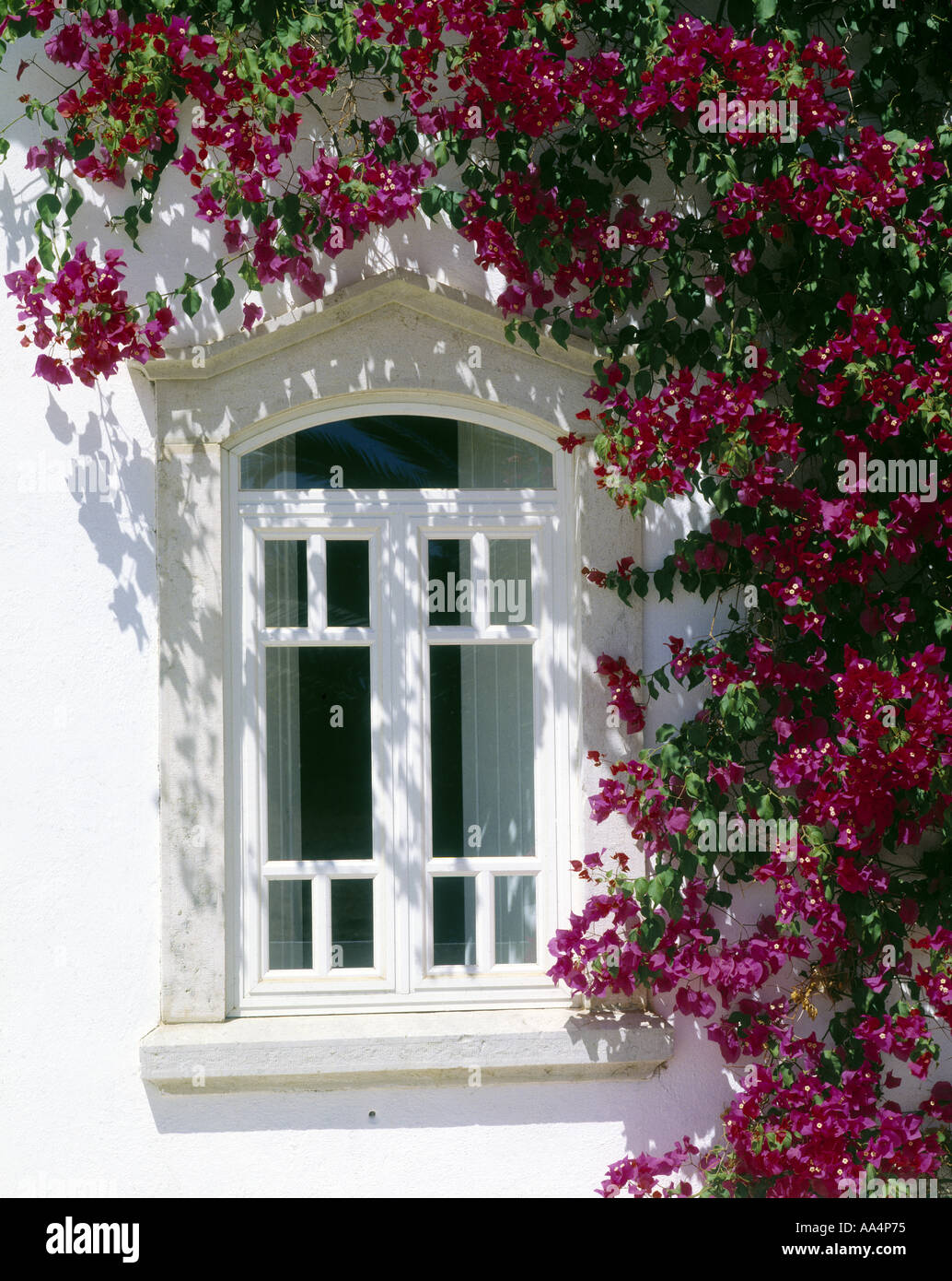 Window With Bougainvillea, the Algarve, Portugal Stock Photo - Alamy