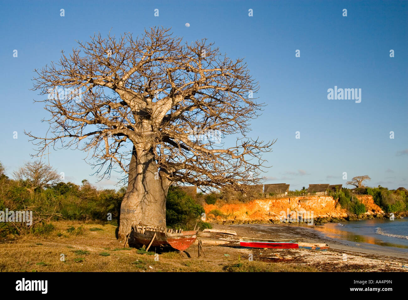 Kilwa Masoko Beach, Tanzania, Africa Stock Photo - Alamy