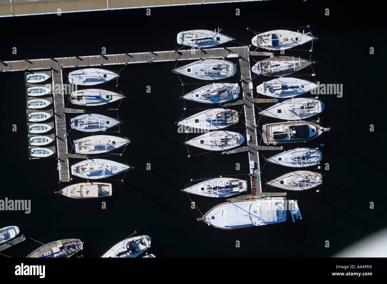 USA Maryland Annapolis Aerial view of crowded boat dock on Chesapeake ...