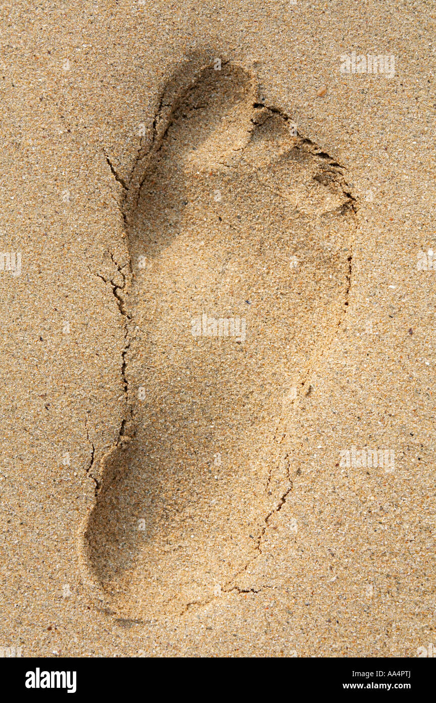 A single footprint in the sand, UK Stock Photo - Alamy