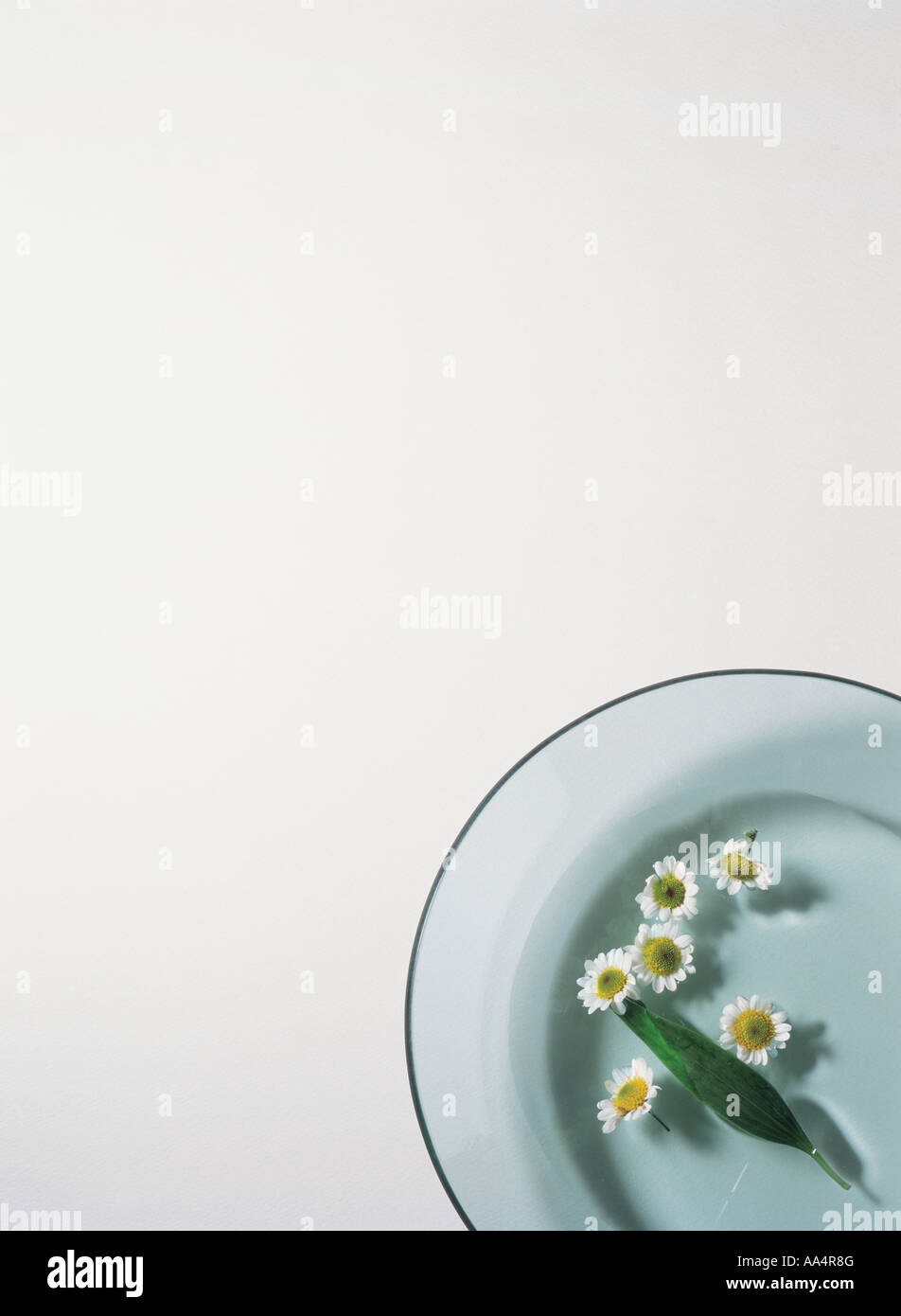 hydrangea floating on the plate Stock Photo - Alamy