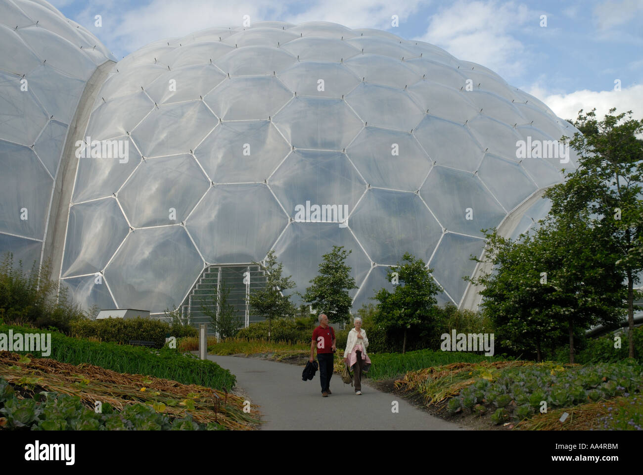 Cornwall England Eden Project The tropical rainforest biome with older ...