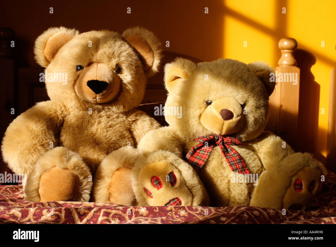 Two Teddy Bears On A Bed With Sunlight Shining Through A Window Stock