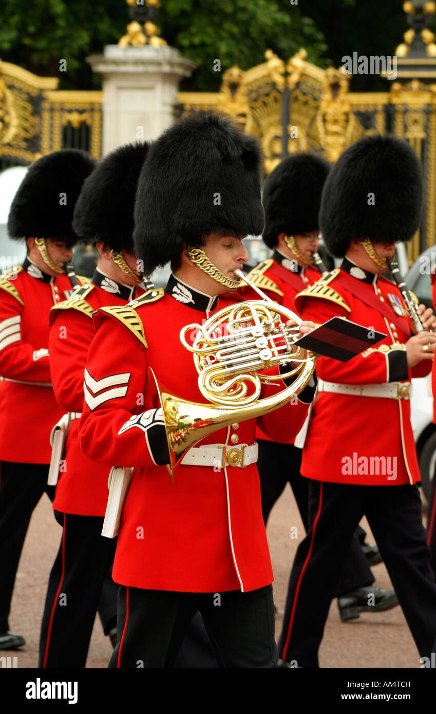 Marching bandsman playing French Horn London England UK Stock Photo - Alamy