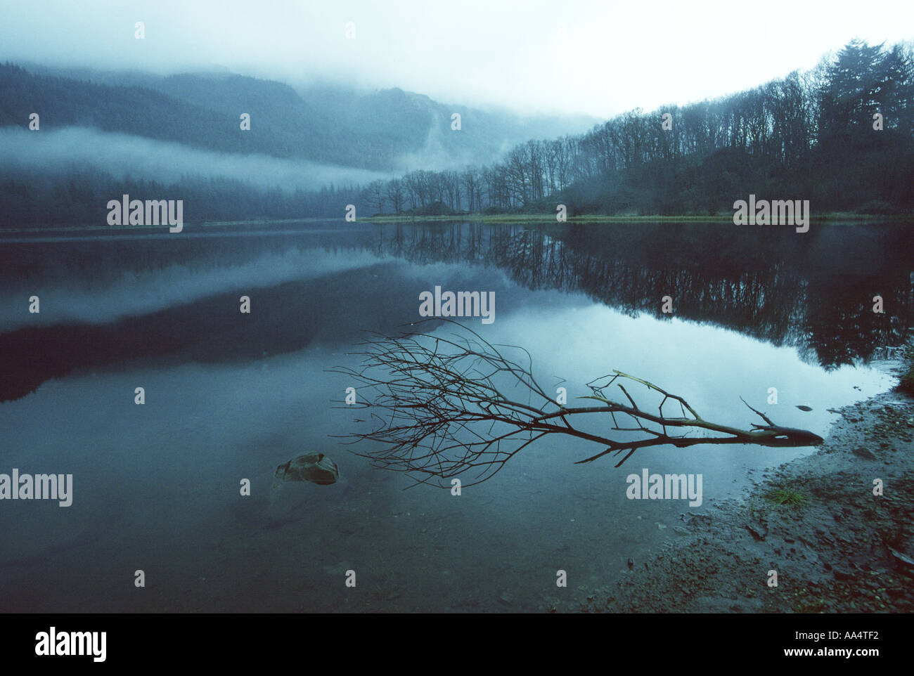 Loch Chon The Trossachs Stirlingshire Scotland Stock Photo - Alamy