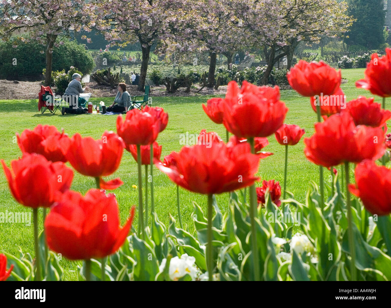 Spring haworth yorkshire england hi-res stock photography and images ...