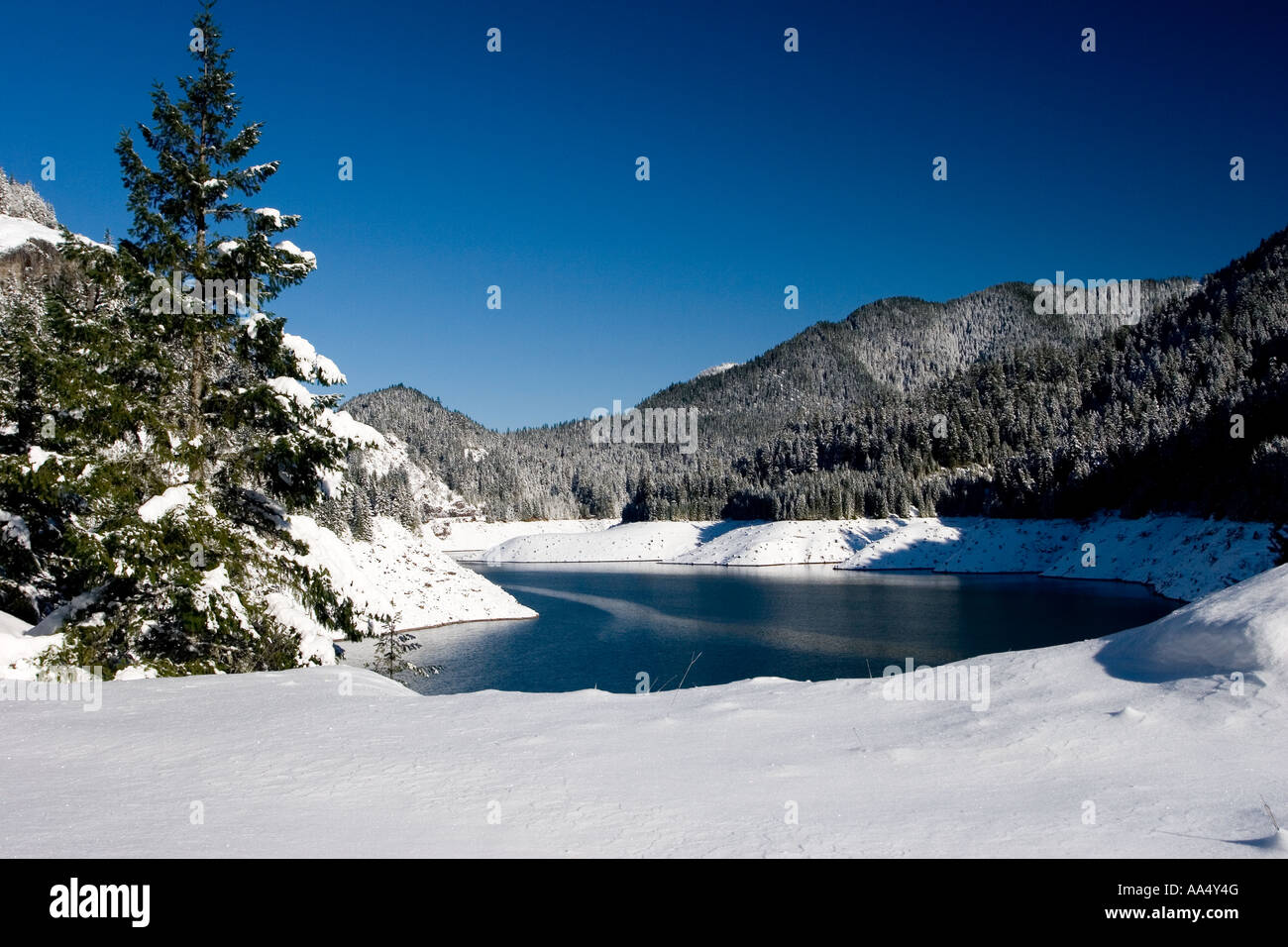 Fresh Snow in the Oregon Cascades Stock Photo - Alamy