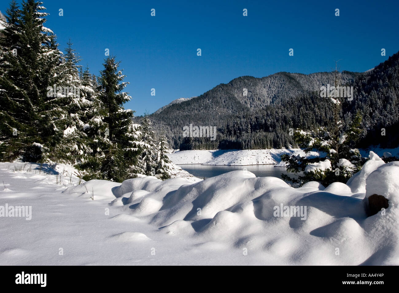 Fresh Snow in the Oregon Cascades Stock Photo - Alamy