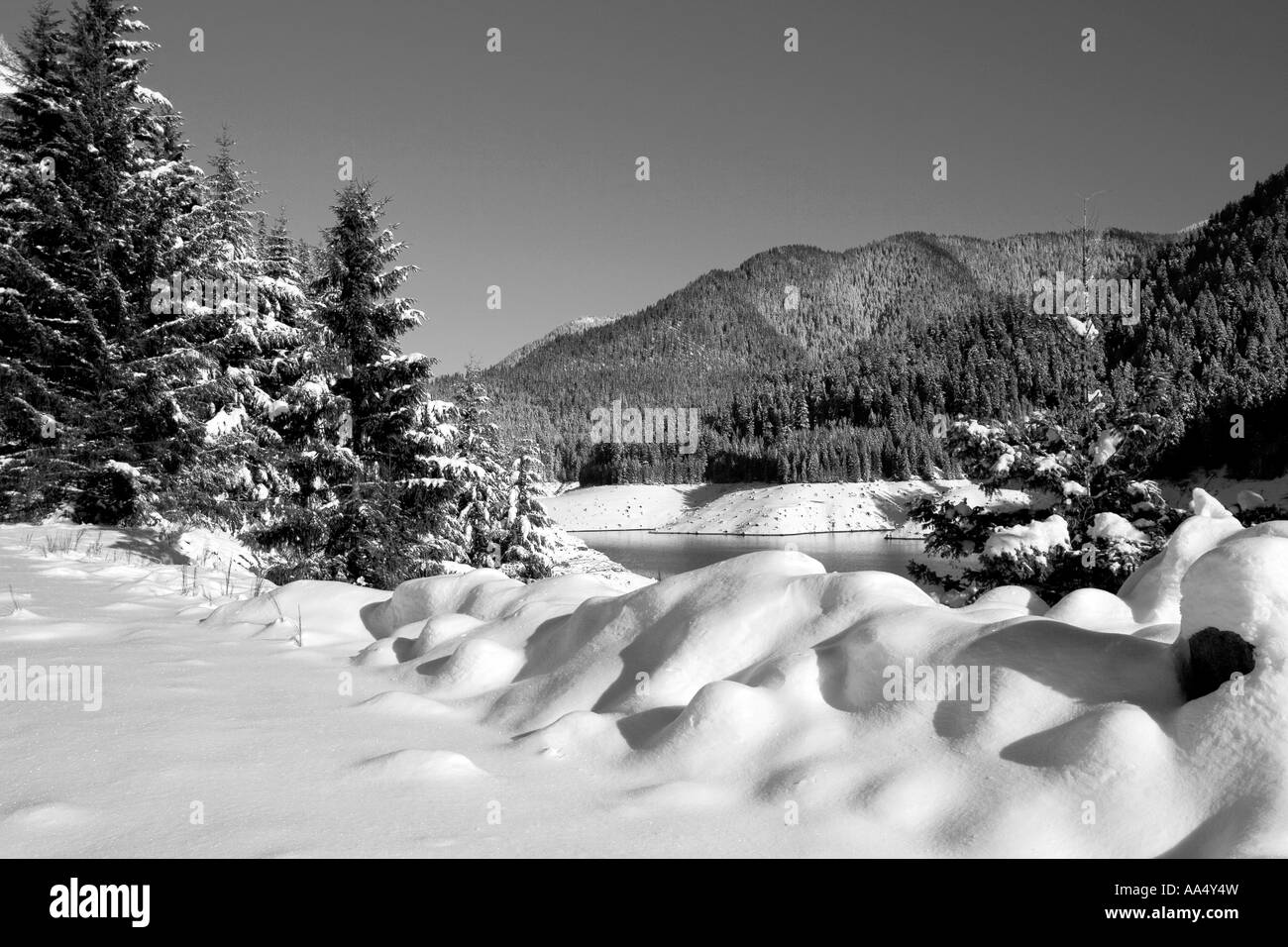 Fresh Snow in the Oregon Cascades Stock Photo - Alamy