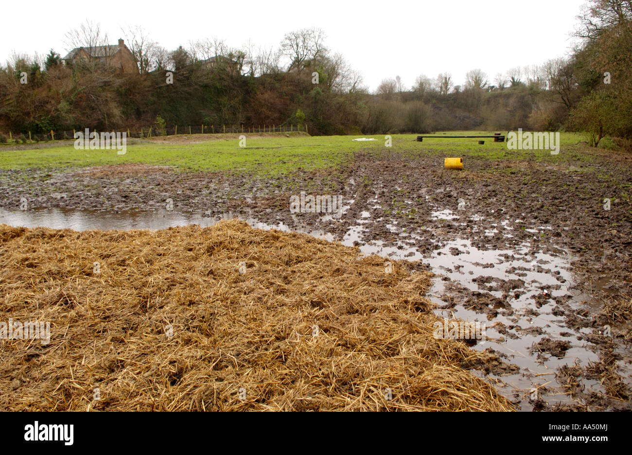 Former Brofiscin quarry where toxic waste was dumped in the 1970s by ...