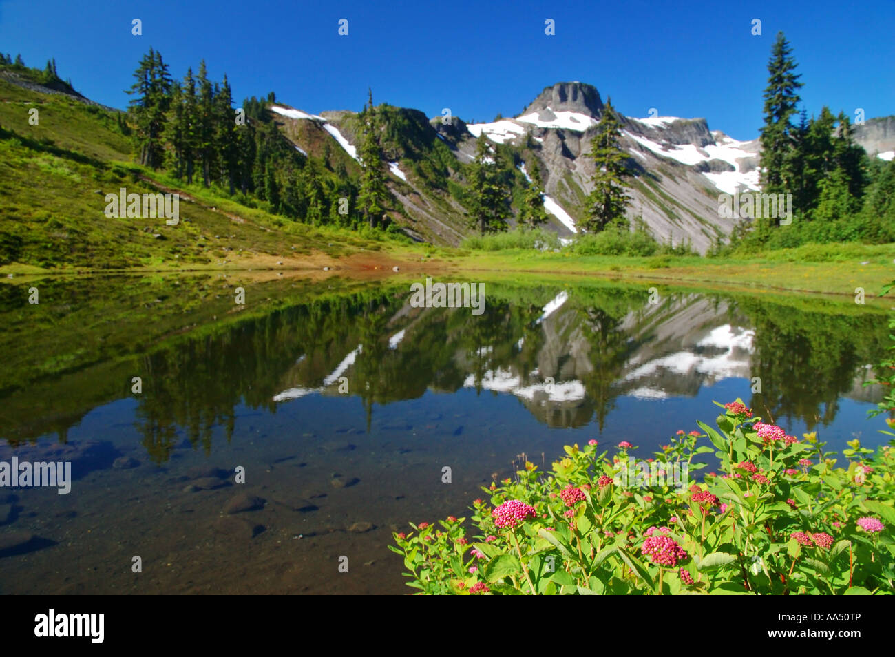 Table Mountain in the North Cascades of Washington State Stock Photo ...