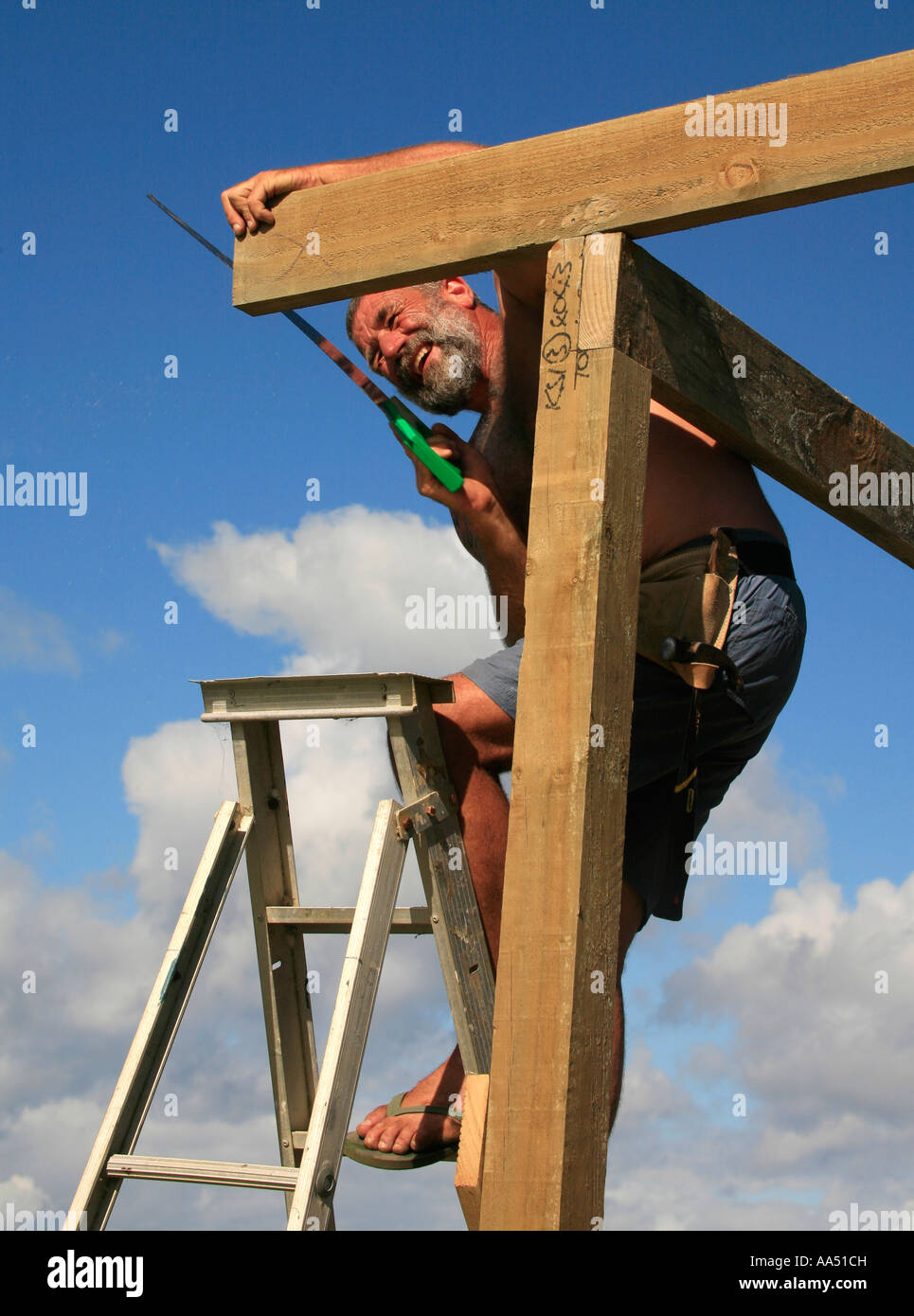 Hand saw on ladder hi-res stock photography and images - Alamy
