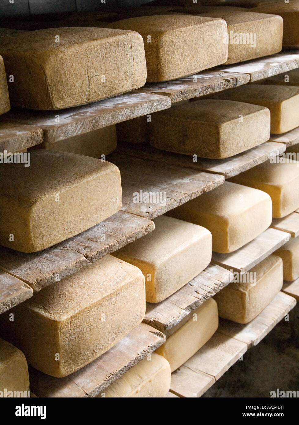 Cheese in a cheese factory, Quilotoa Stock Photo - Alamy