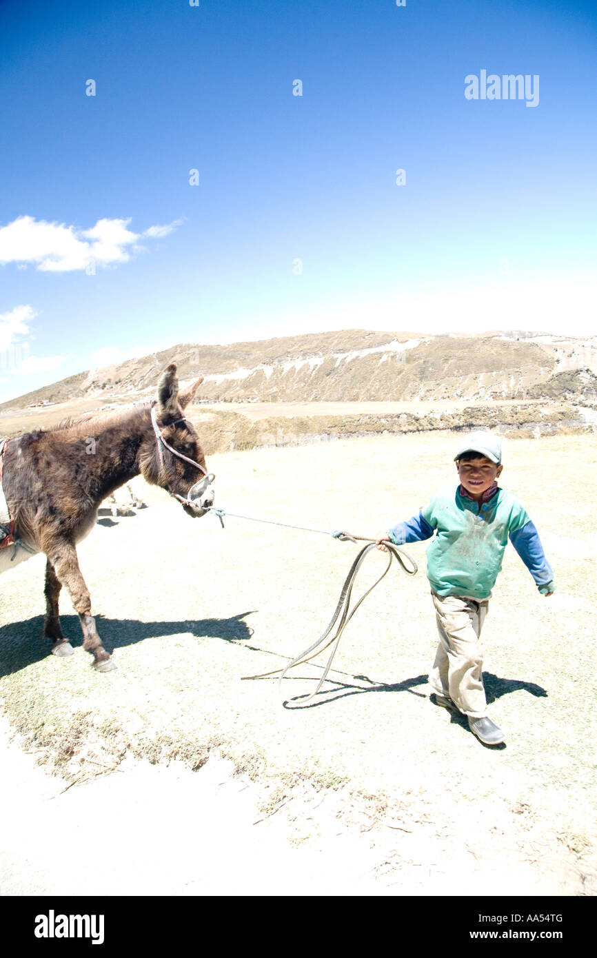 Kid with his donkey and some sheep Stock Photo - Alamy