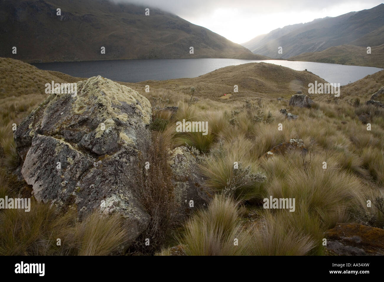 Parque Cajas, Ecuador Stock Photo - Alamy