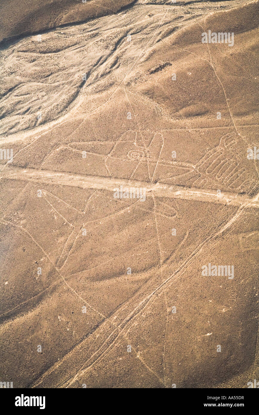 The whale nazca lines hi-res stock photography and images - Alamy