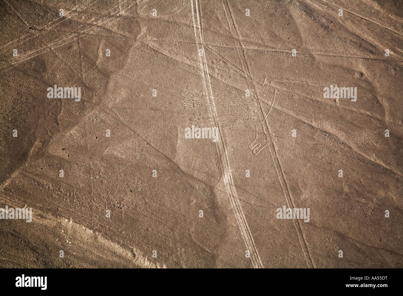 Nazca lines peru tourism tourist hi-res stock photography and images ...