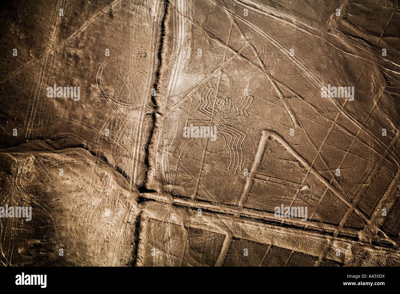 The spider in the Nazca lines Stock Photo - Alamy