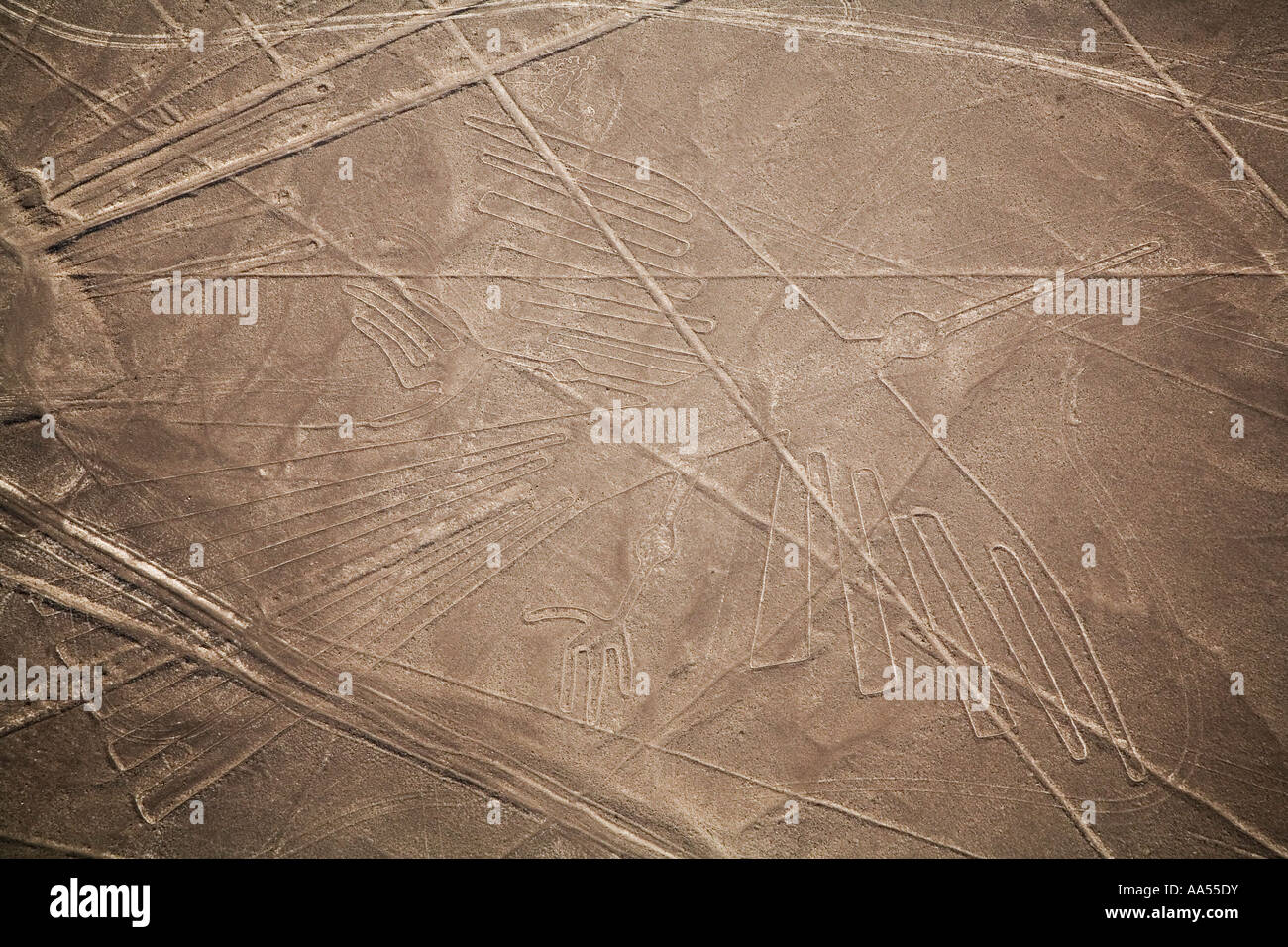 The condor in the nazca lines, Peru Stock Photo - Alamy