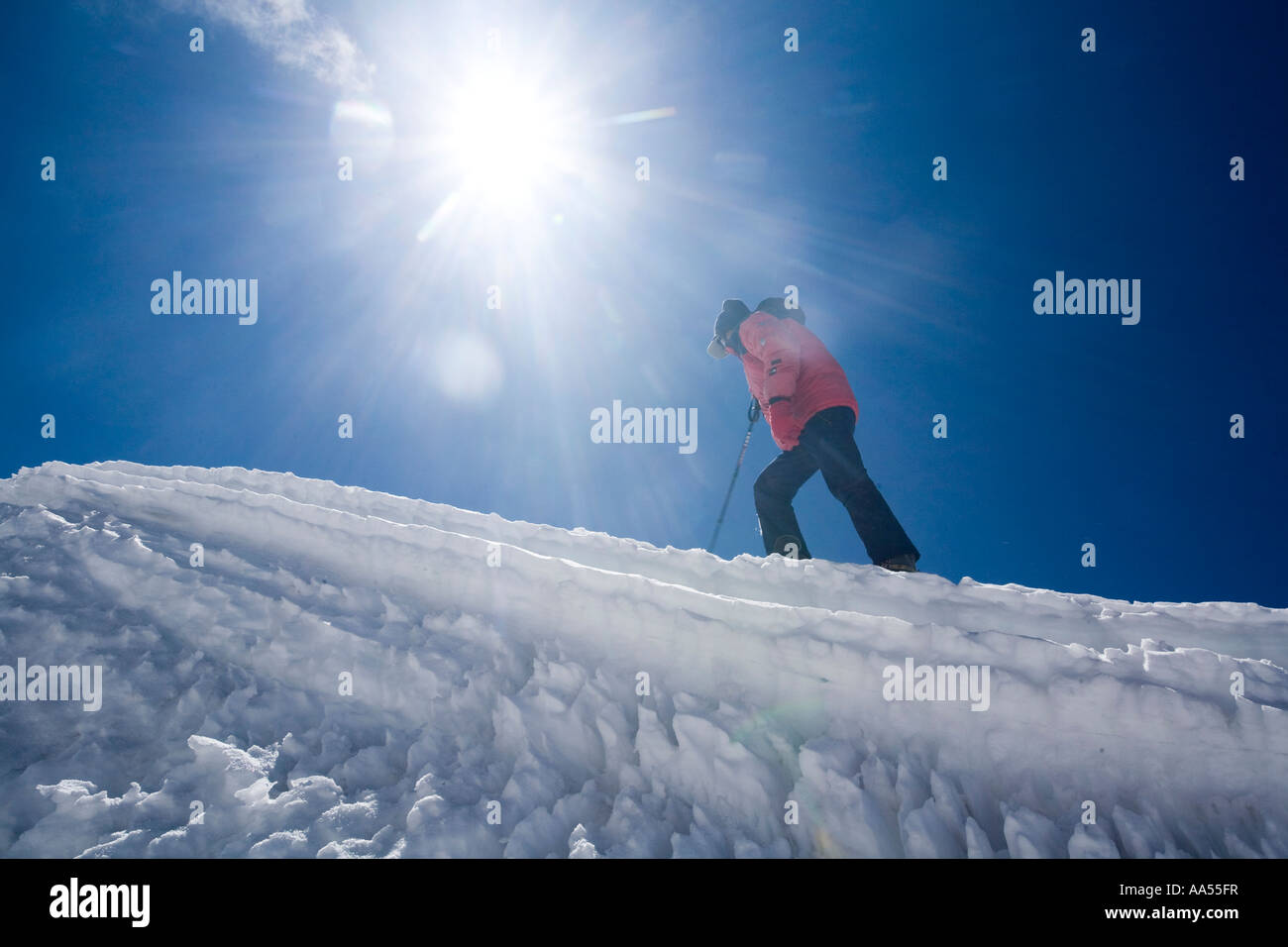 Guide summiting Mount Ampato in Peru, 6,308m Stock Photo - Alamy