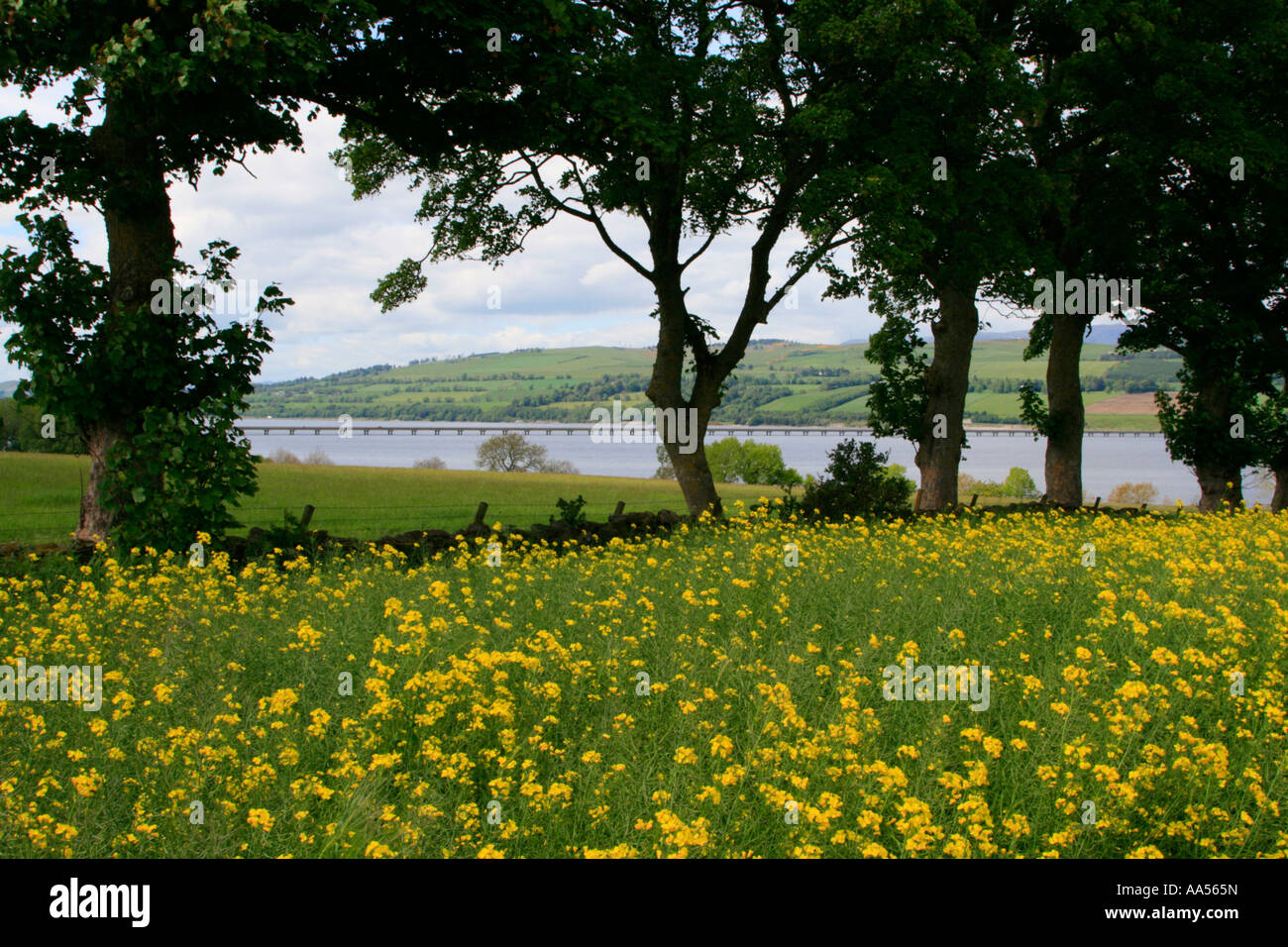 the black isle scotland highlands east coast cromarty Stock Photo - Alamy