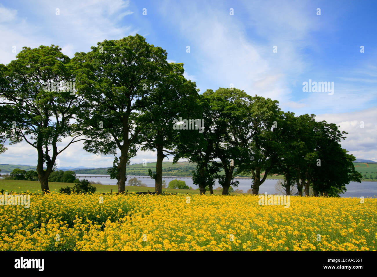 the black isle scotland highlands east coast cromarty Stock Photo - Alamy