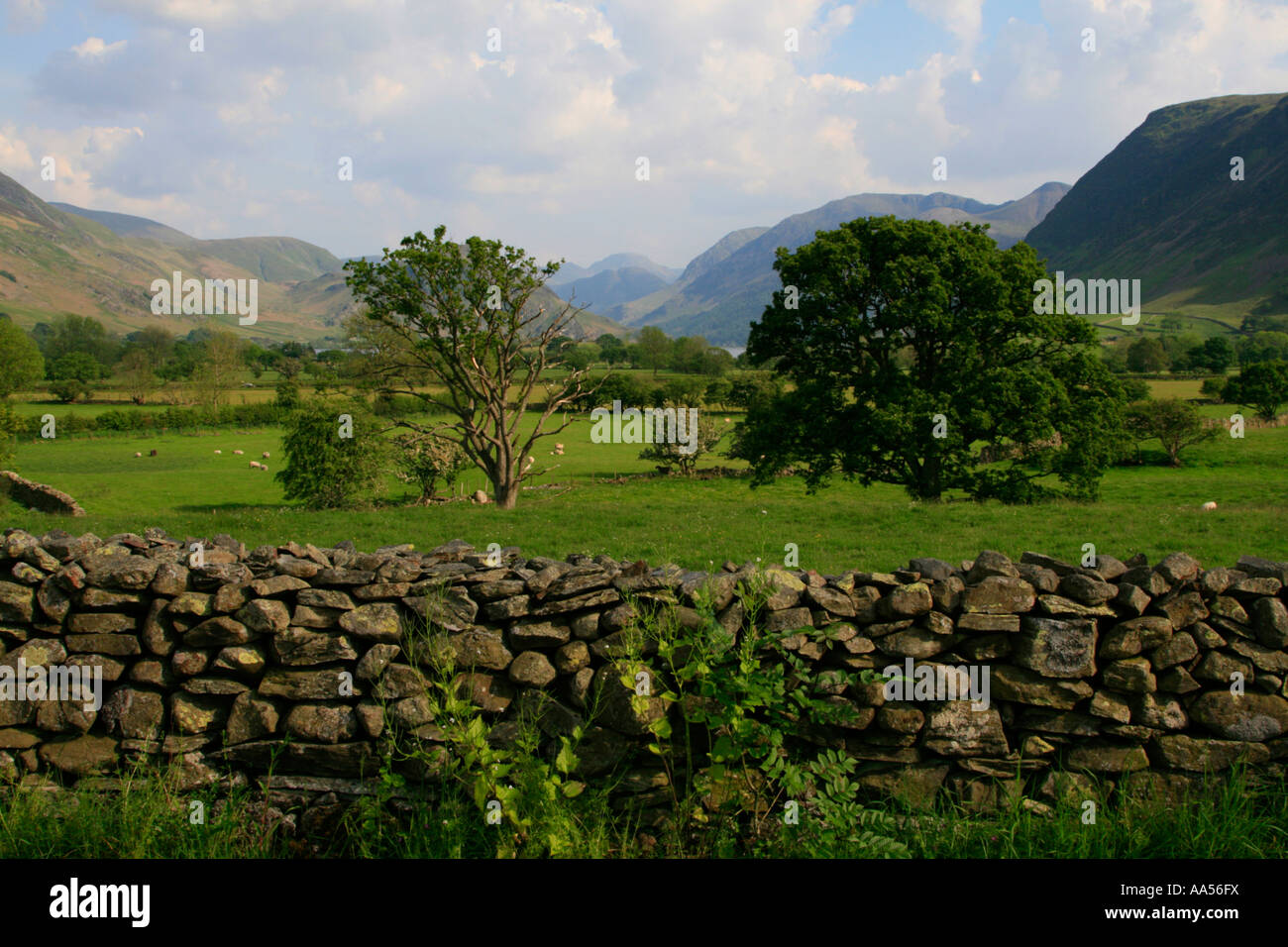 fells near Loweswater English Lake District national Park cumbria ...