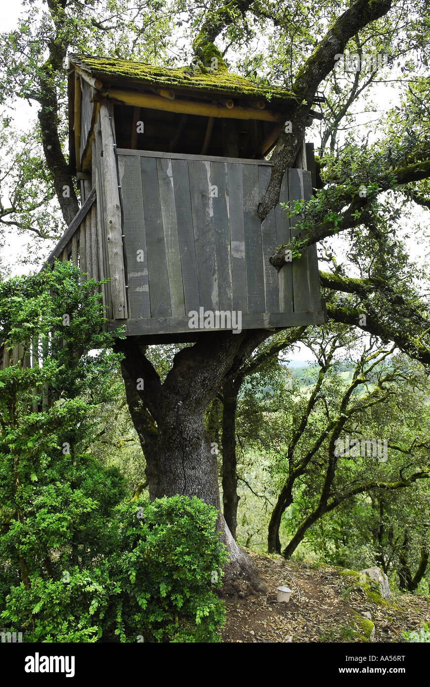 unusual wooden tree house Stock Photo - Alamy