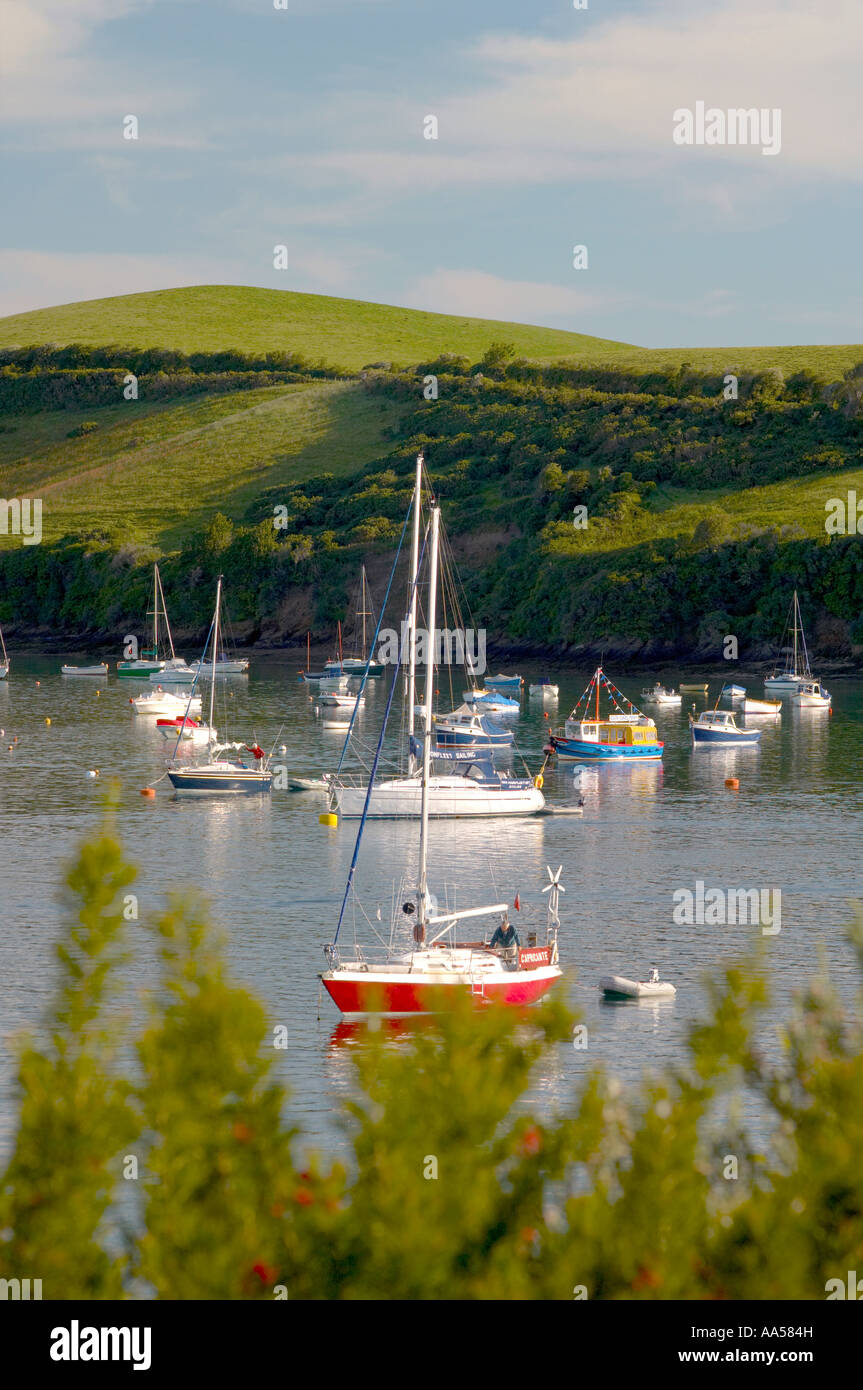 Moored yachts on Salcombe estuary Devon UK Stock Photo - Alamy