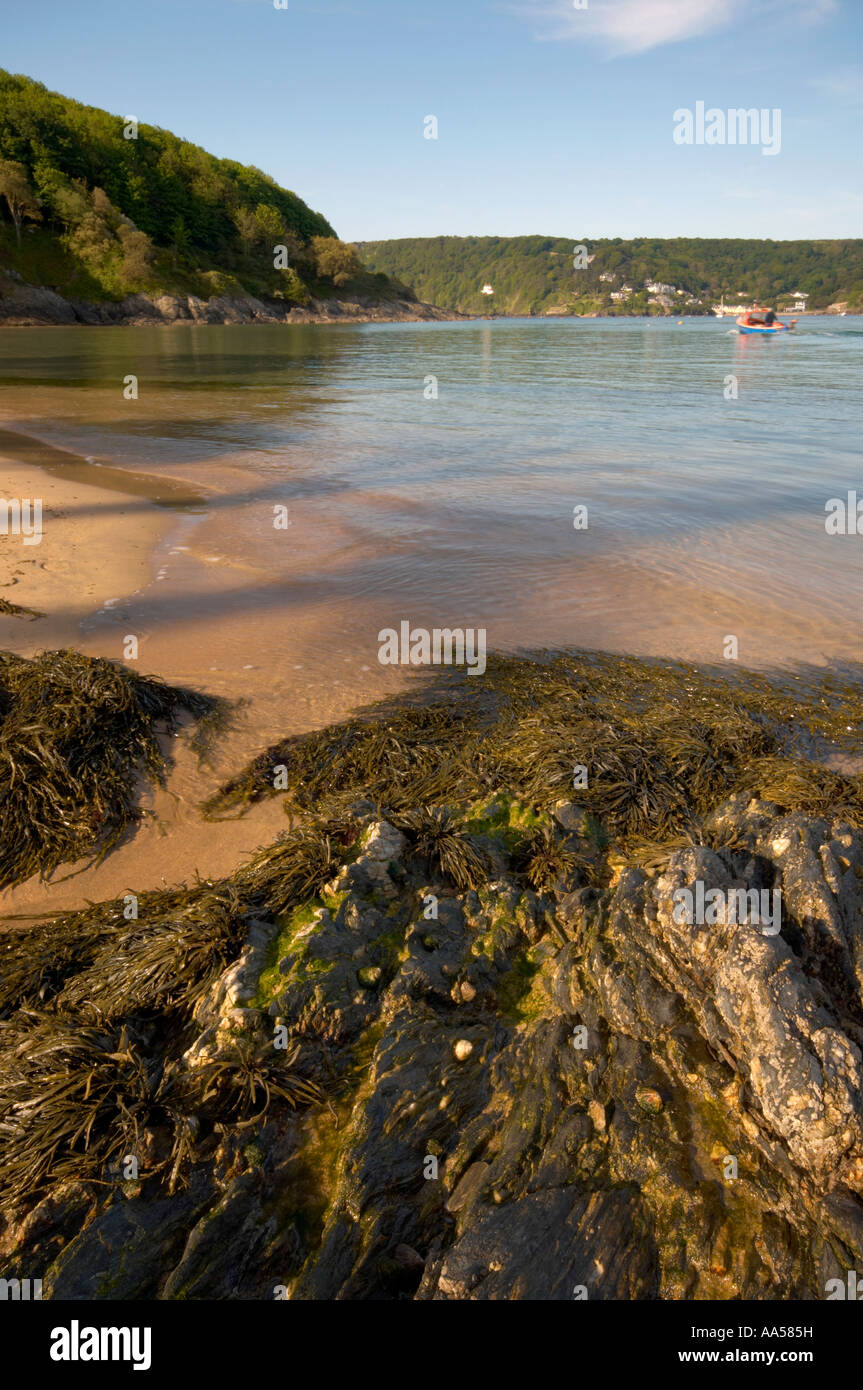 Mill Bay beach East Portlemouth Devon UK Stock Photo - Alamy
