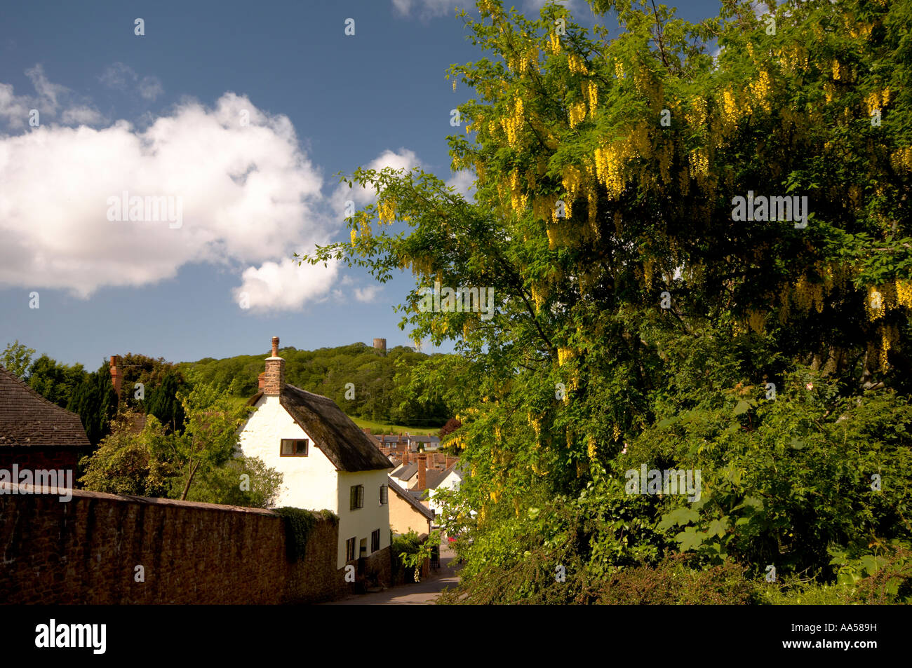 Dunster village garden hi-res stock photography and images - Alamy