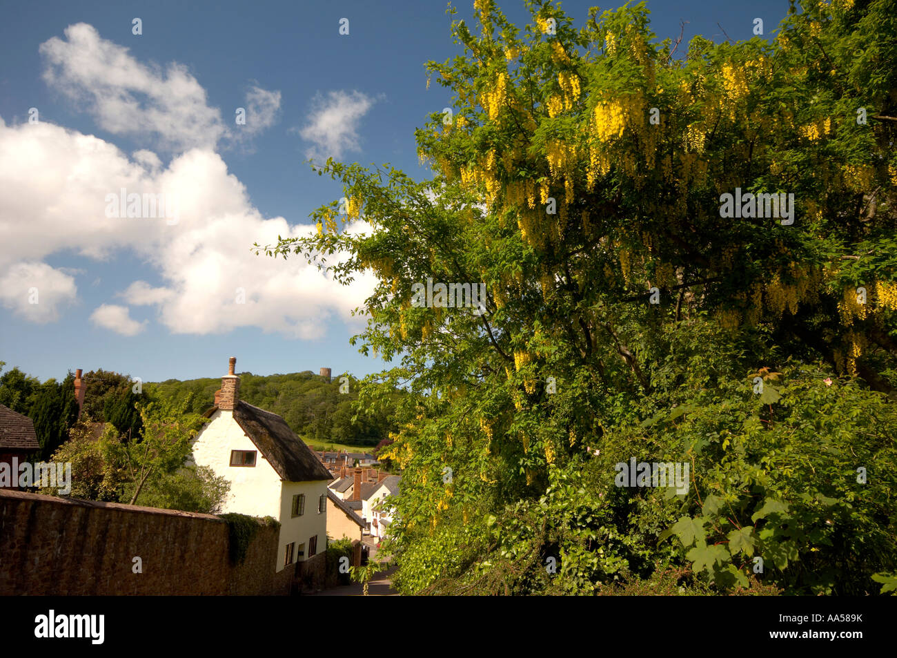 Dunster town centre Exmoor Somerset UK Stock Photo - Alamy