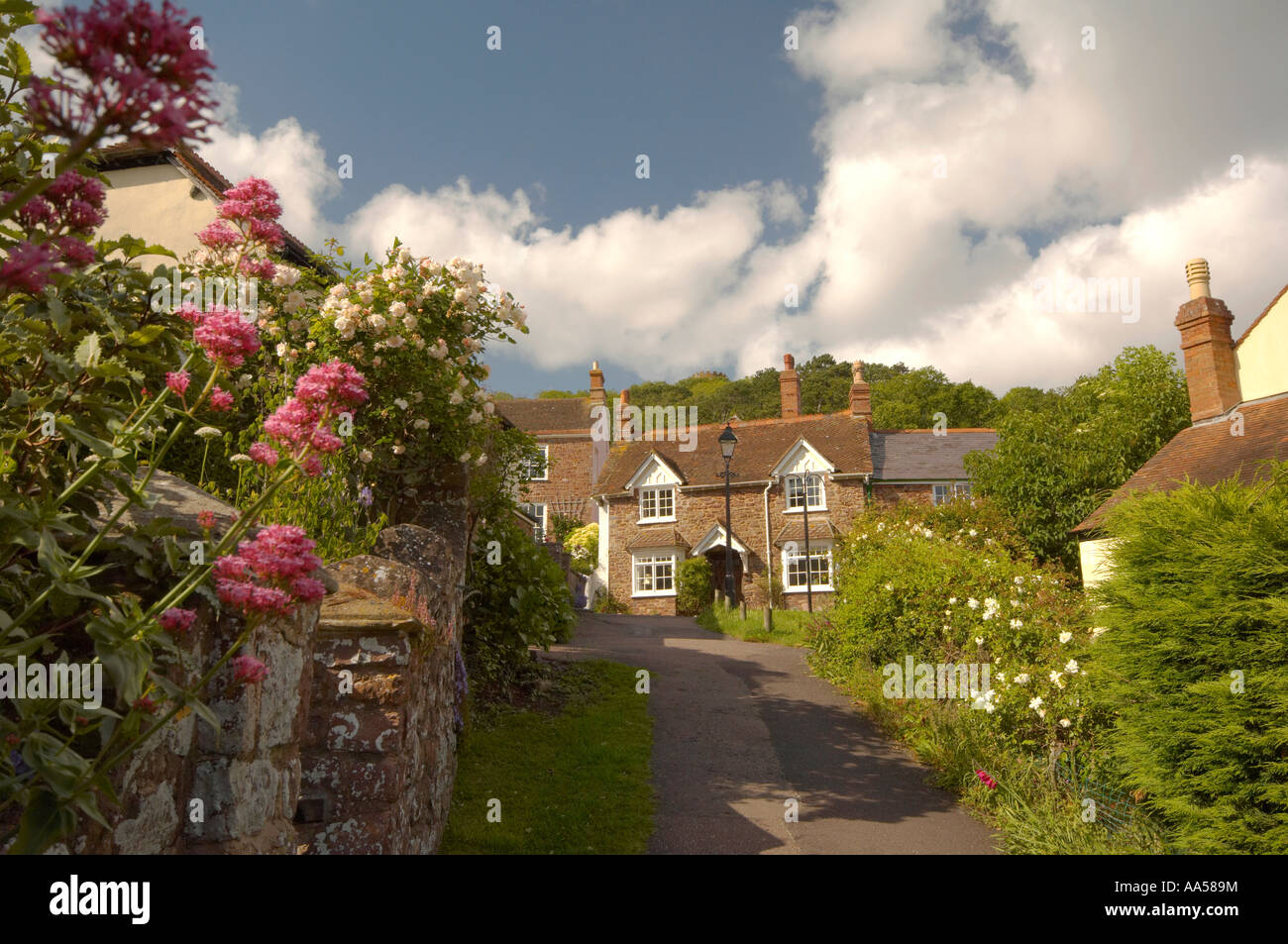Dunster town centre cottage Exmoor Somerset UK Stock Photo - Alamy