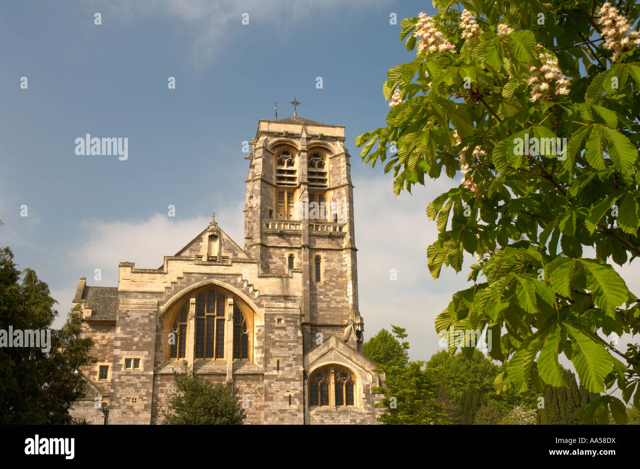 Exeter court and devon court hi-res stock photography and images - Alamy