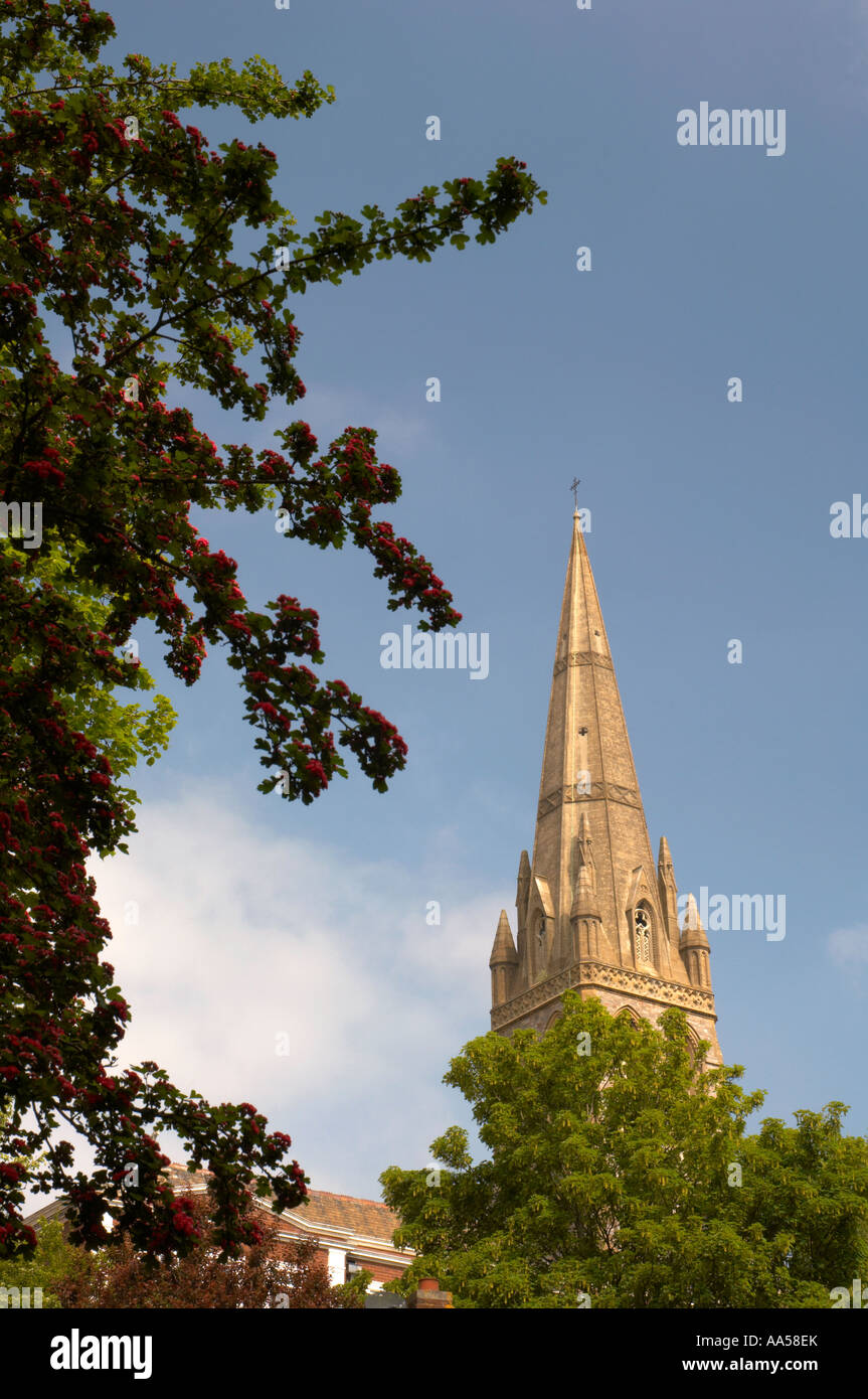 Mount Dinham church steeple Exeter Devon UK Stock Photo - Alamy