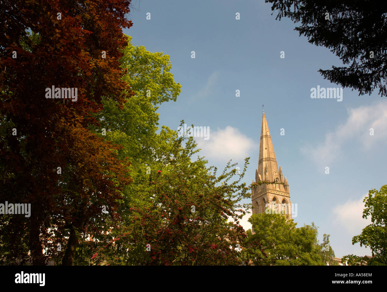 Mount Dinham church steeple Exeter Devon UK Stock Photo - Alamy
