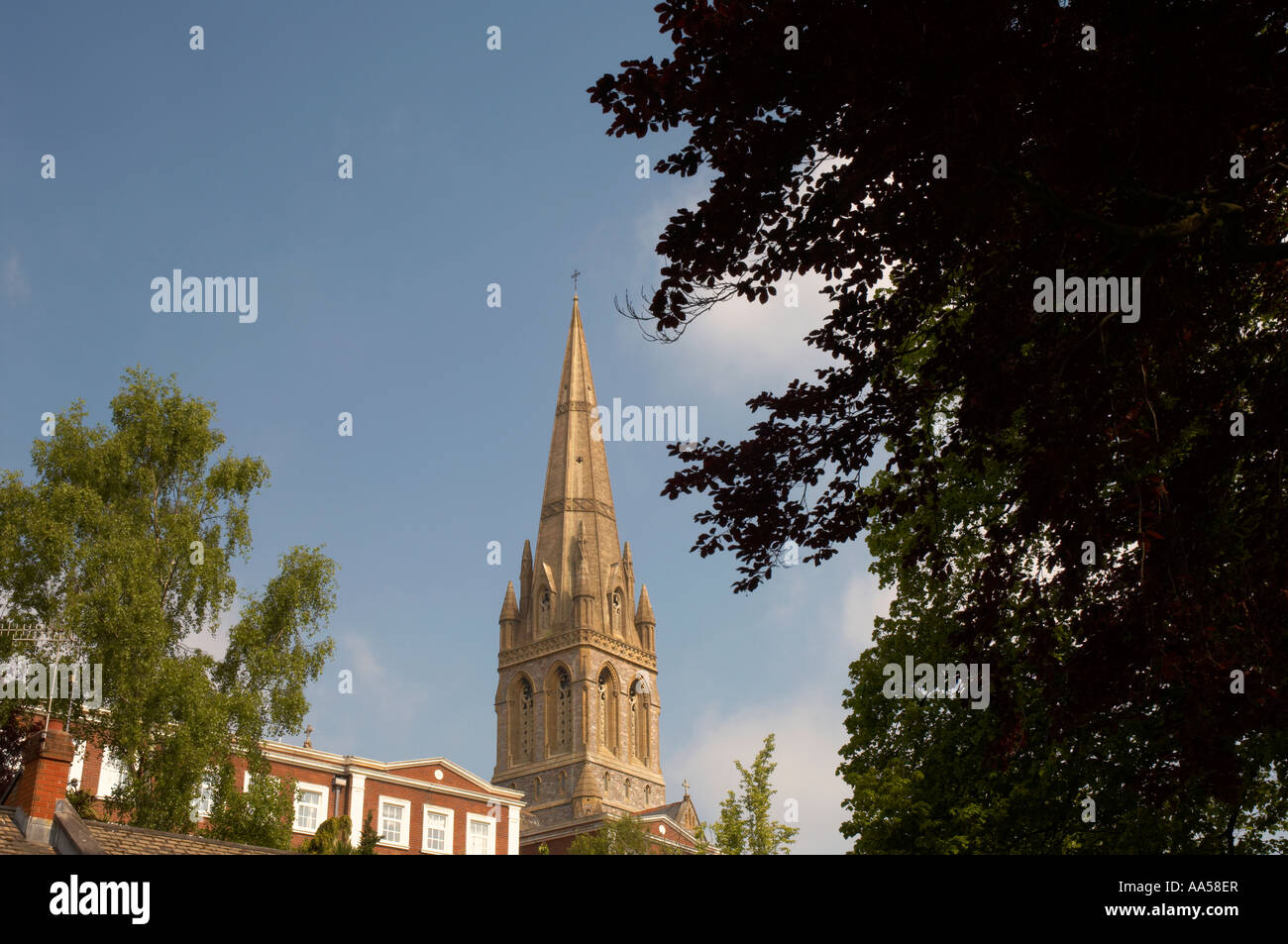 Mount Dinham church steeple Exeter Devon UK Stock Photo - Alamy