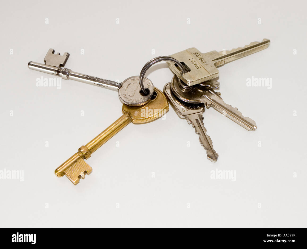 Bunch of keys on a key ring against a plain background Stock Photo - Alamy