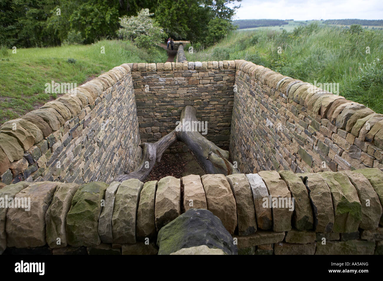 Hanging Trees by Andy Goldsworthy Oxley Bank Yorkshire Sculpture Park ...