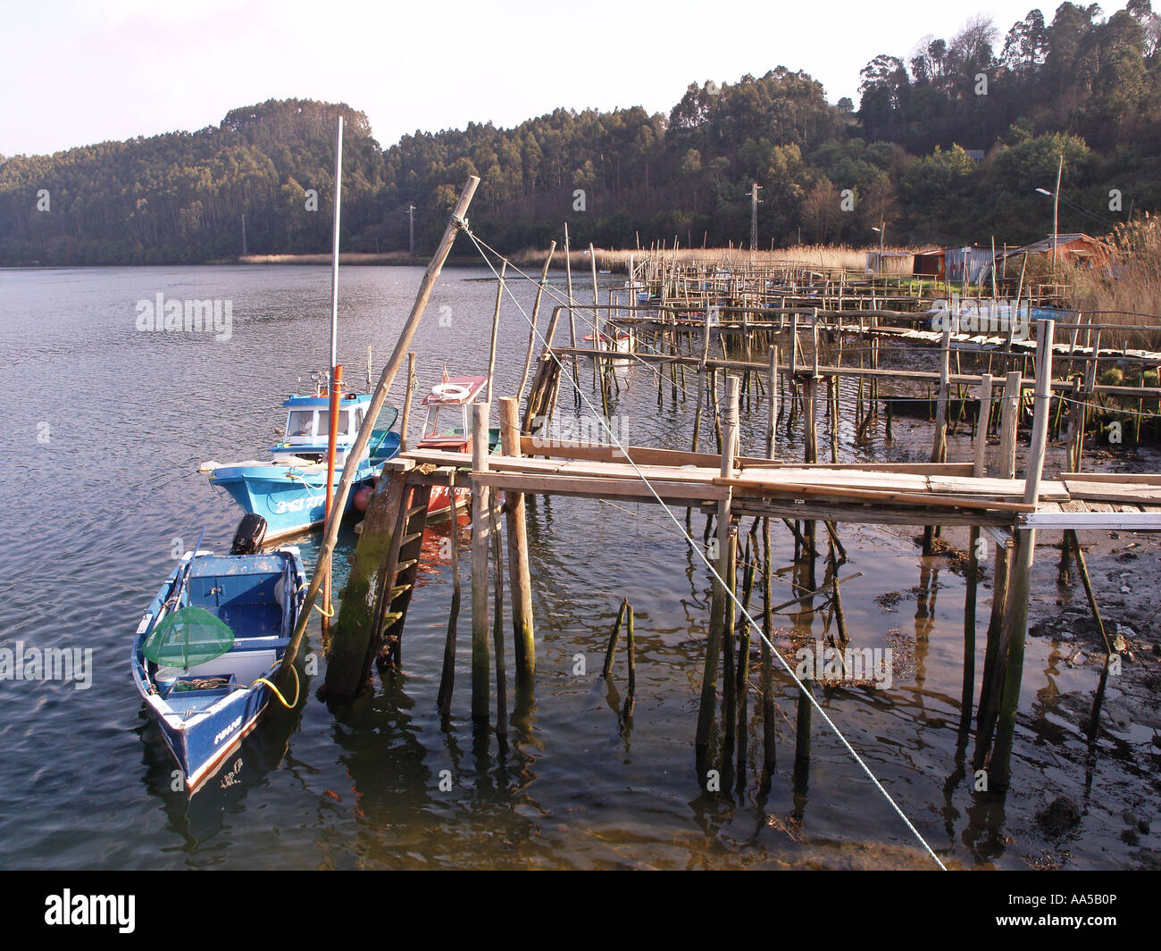 Elver fishing hi-res stock photography and images - Alamy