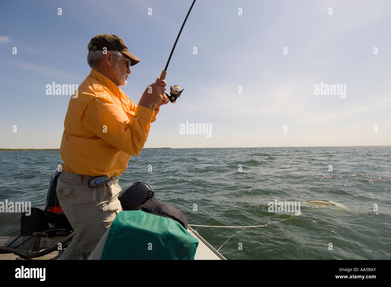 A FISHERMAN PULLS BACK HIS FISHING POLE TO SET THE HOOK LAKE MILLE LACS ...