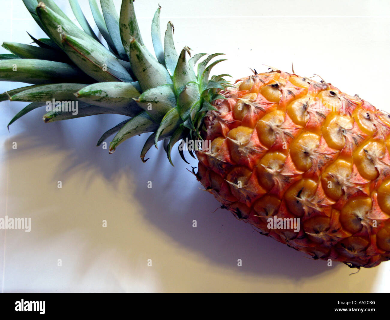 A fresh pineapple Stock Photo - Alamy