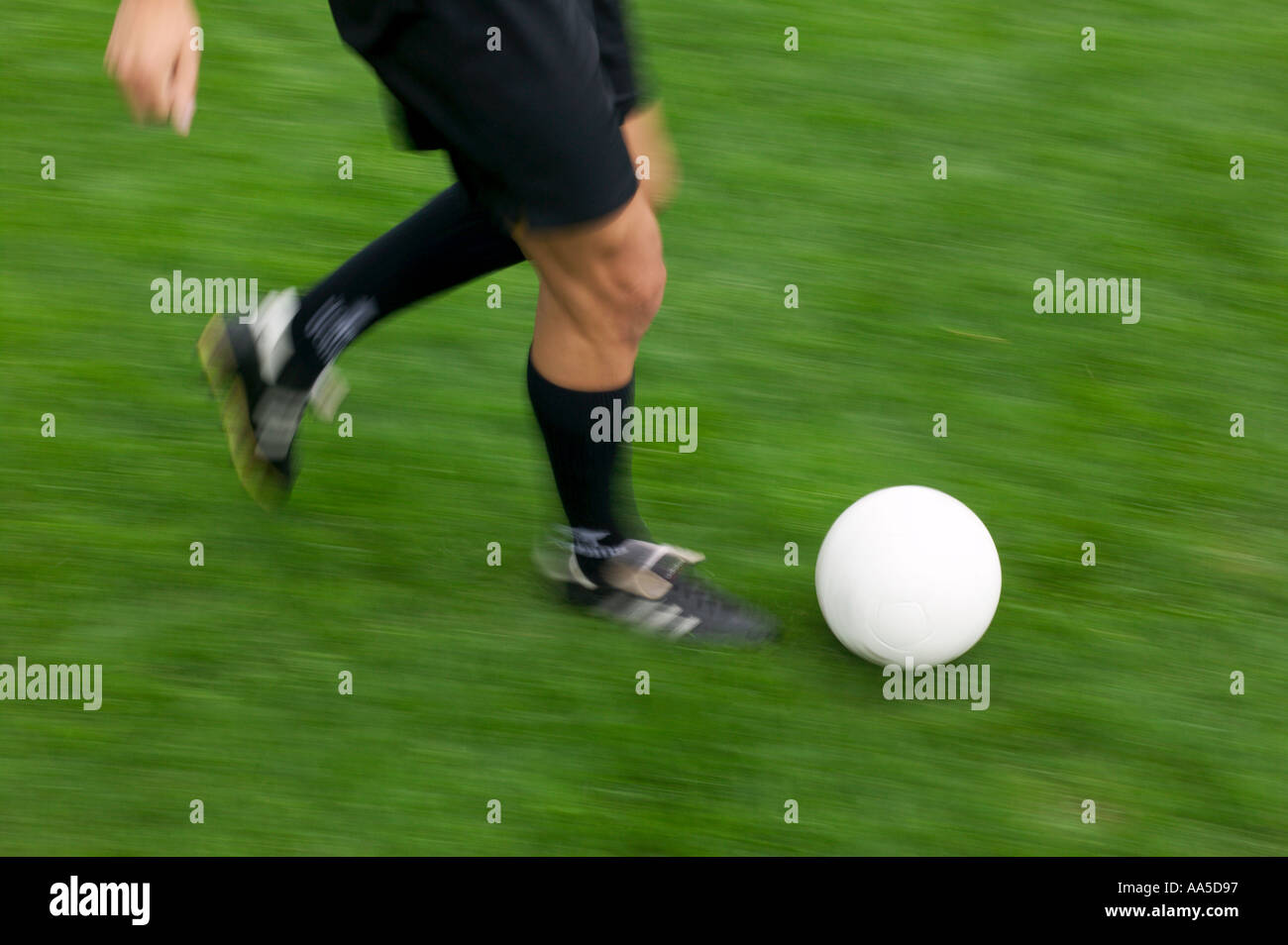 After success hunt hi-res stock photography and images - Alamy