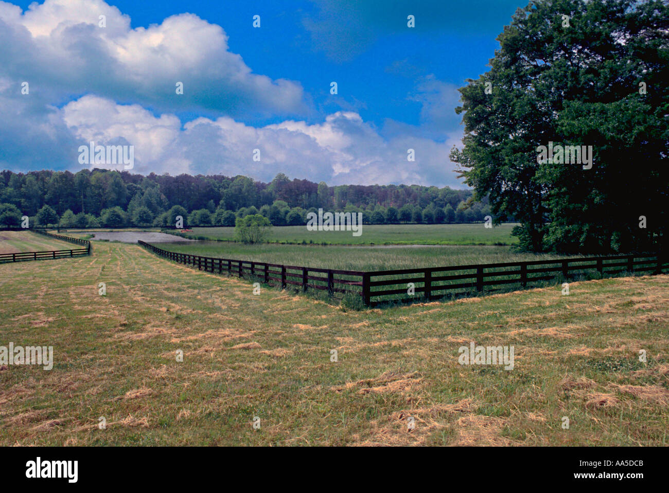 Rural scenic Georgia USA Stock Photo - Alamy